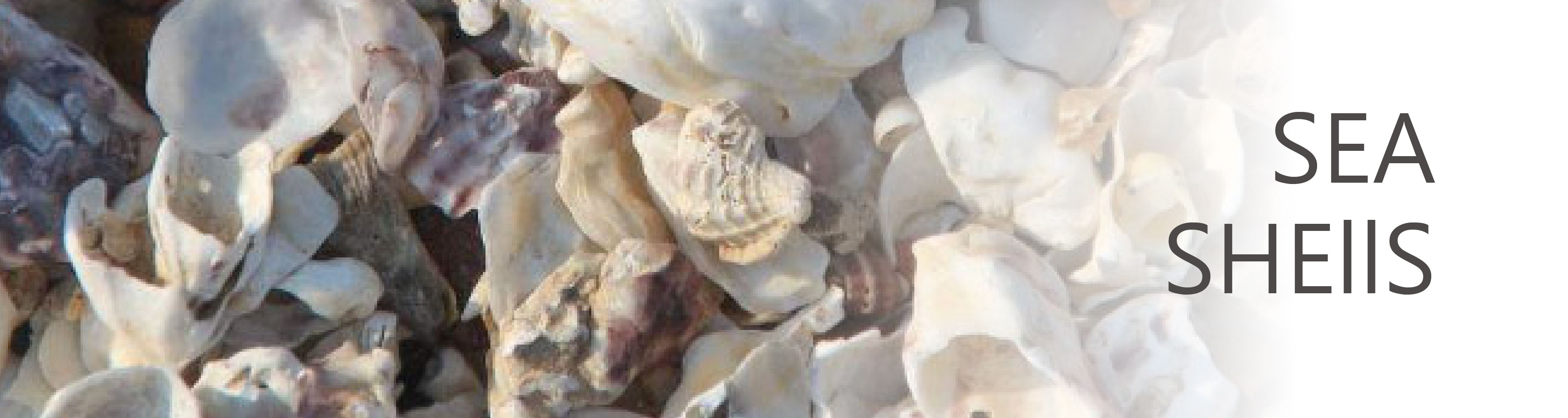 RECYCLED OYSTER SHELLS FIBER - 富勝紡織 | ECOMAX